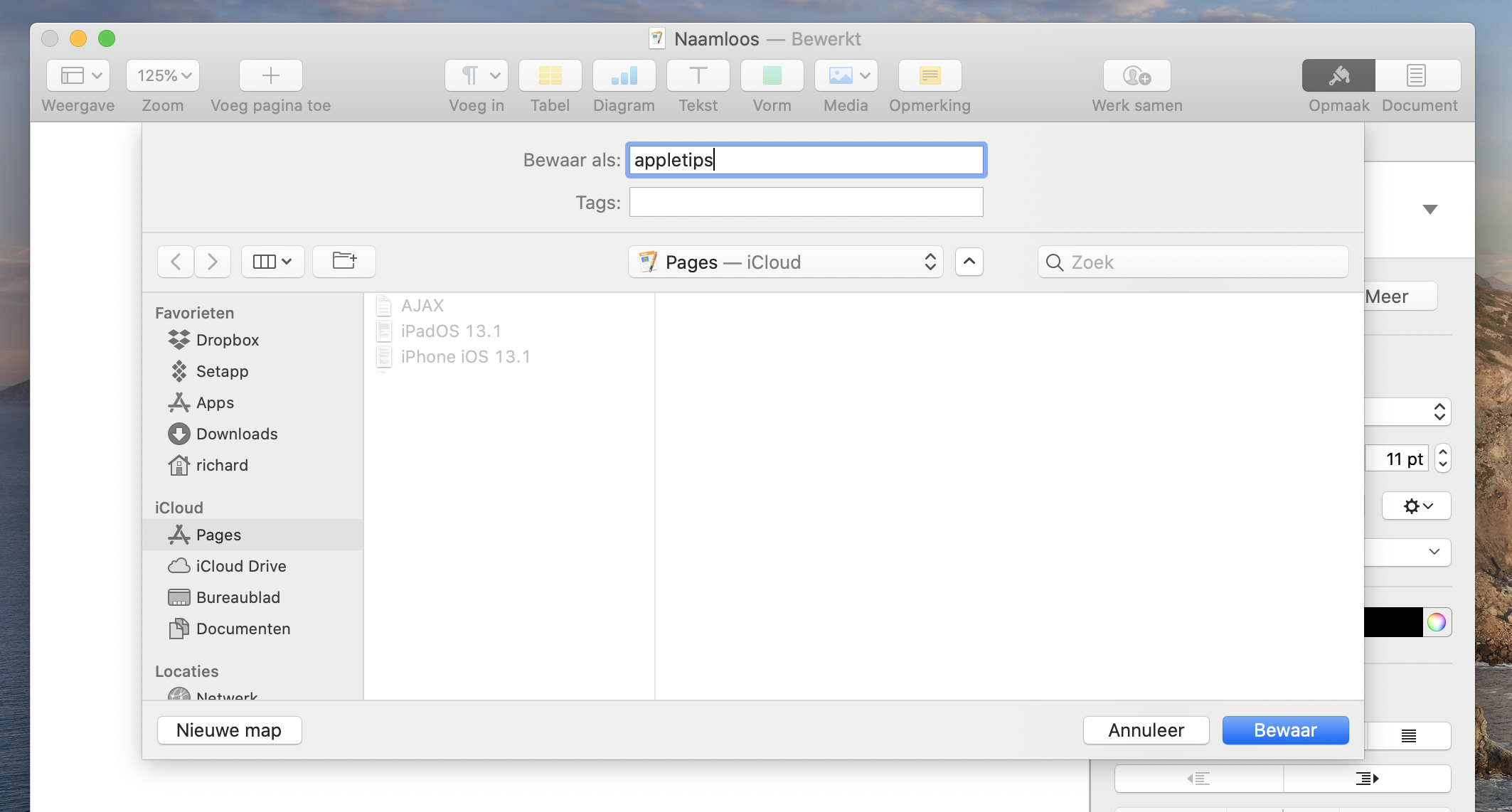 macOS: Standaard het uitgebreide bewaar dialoogvenster tonen - appletips